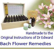Bach Flower Remedies | Bach Remedies & Sets | Flower Essence Shop ...
